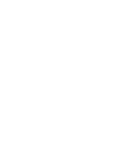 Ermax Development