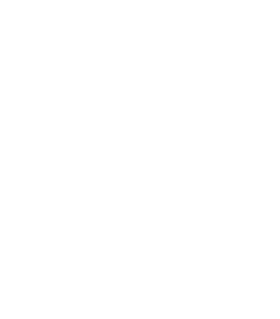 Ermax Development